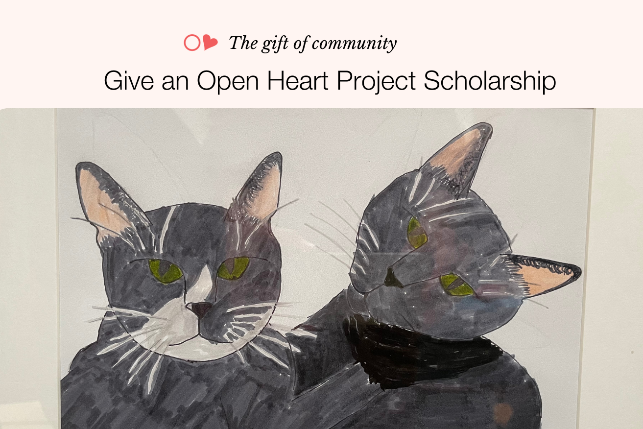 OHP Sponsorships & Donations - The Open Heart Project