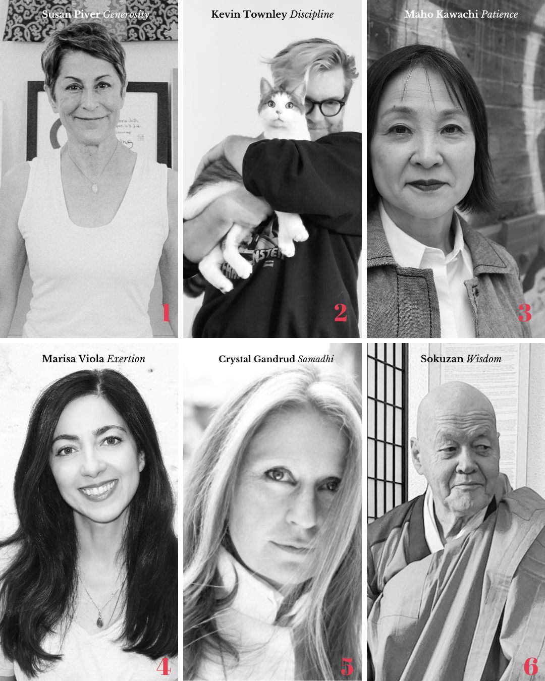 The Open Heart Project - Susan Piver