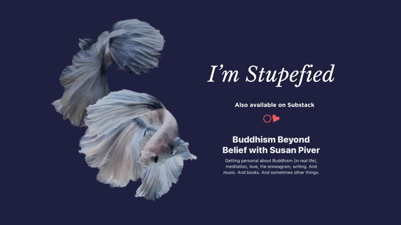 Introducing a new way to connect (via Substack) - The Open Heart Project